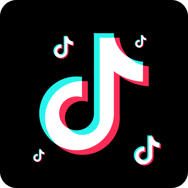 Siniestro - TikTok, la red social que domina el formato corto
